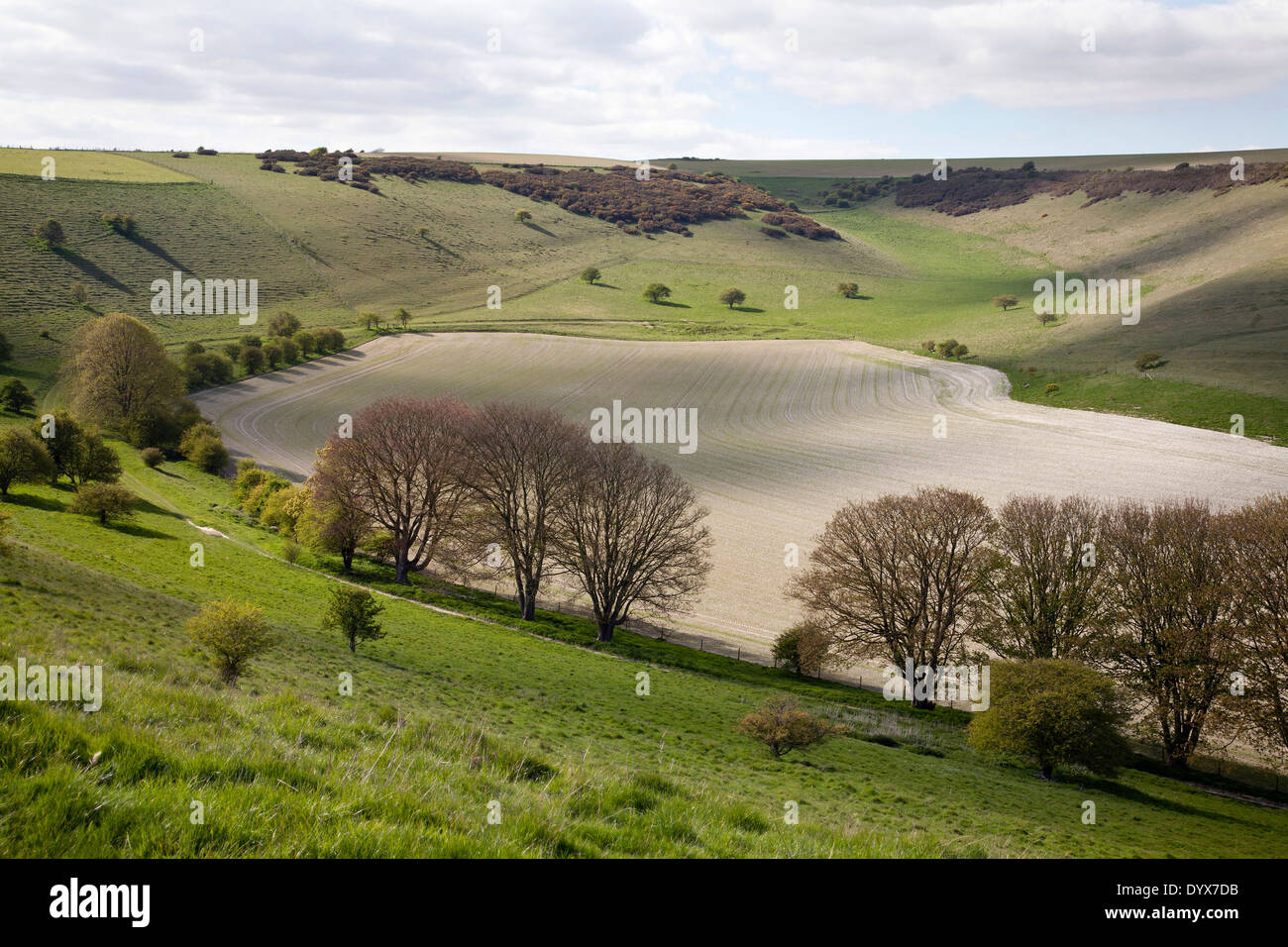 Sussex countryside hi-res stock photography and images - Alamy