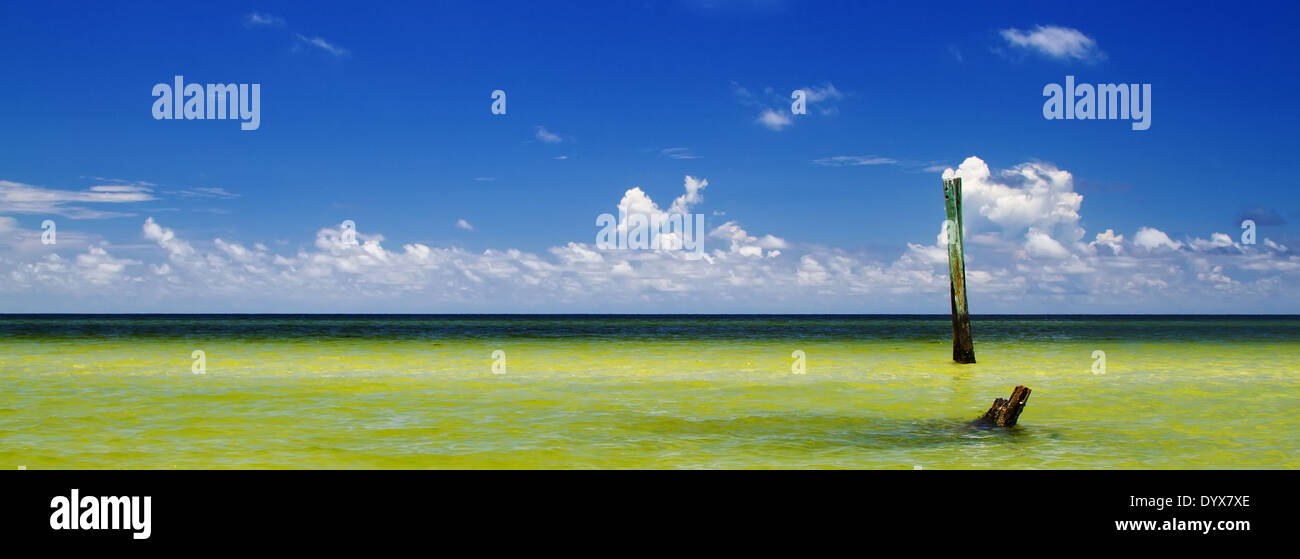 Placida florida hi-res stock photography and images - Alamy