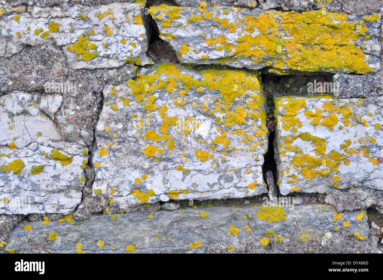 Rocks and lichen. Brick masonry of the old barn Stock Photo - Alamy