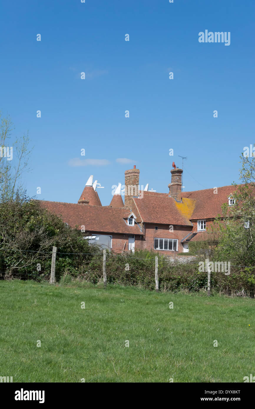 Hop picking kent hi-res stock photography and images - Alamy