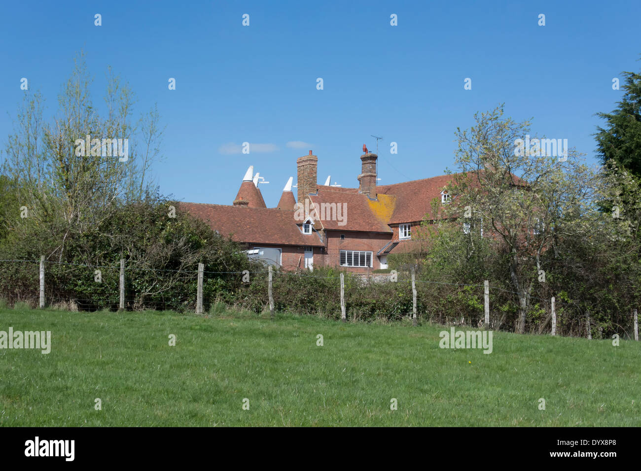 Hop picking kent england hop hi-res stock photography and images - Alamy
