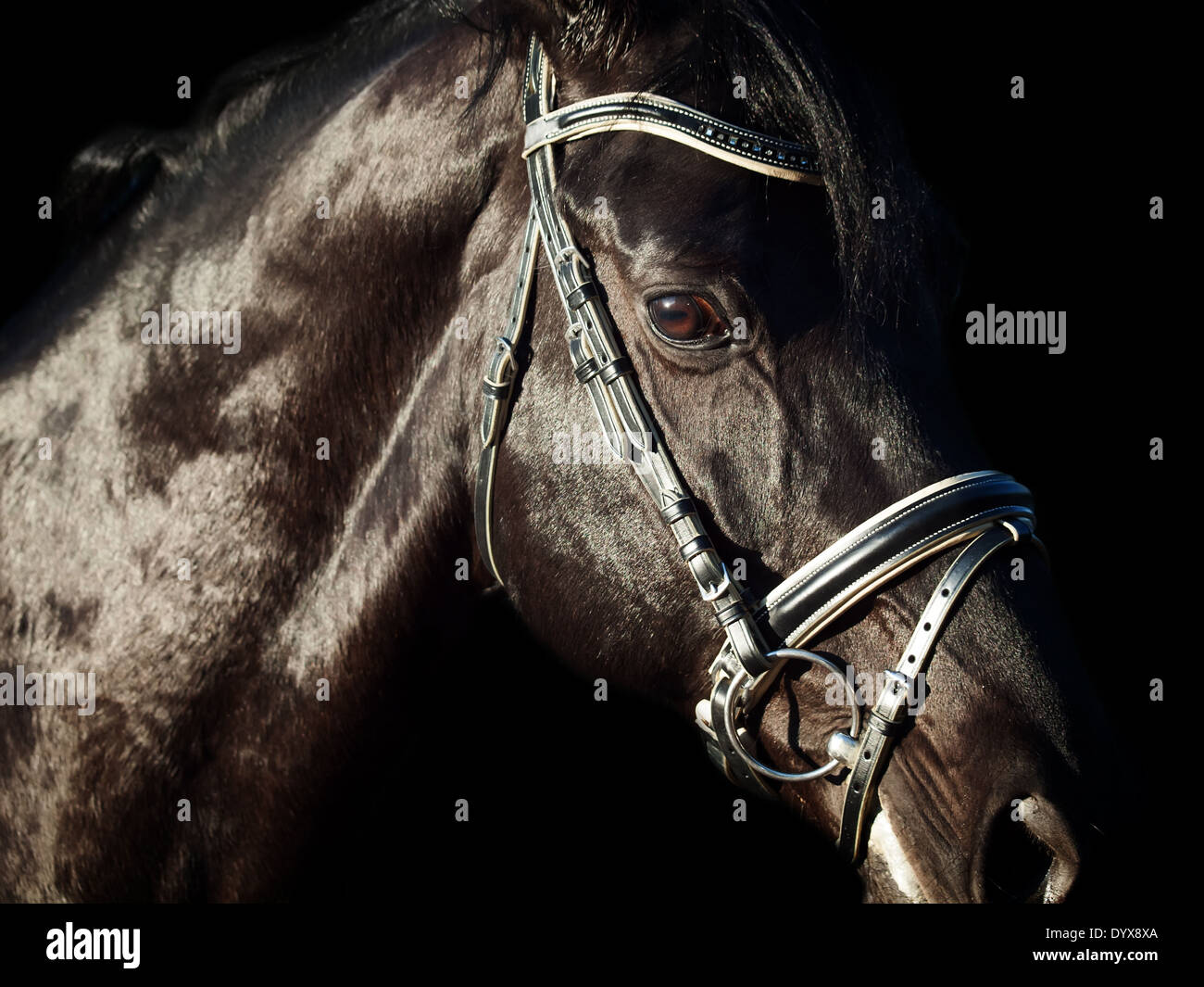 Motion close hi-res stock photography and images - Alamy