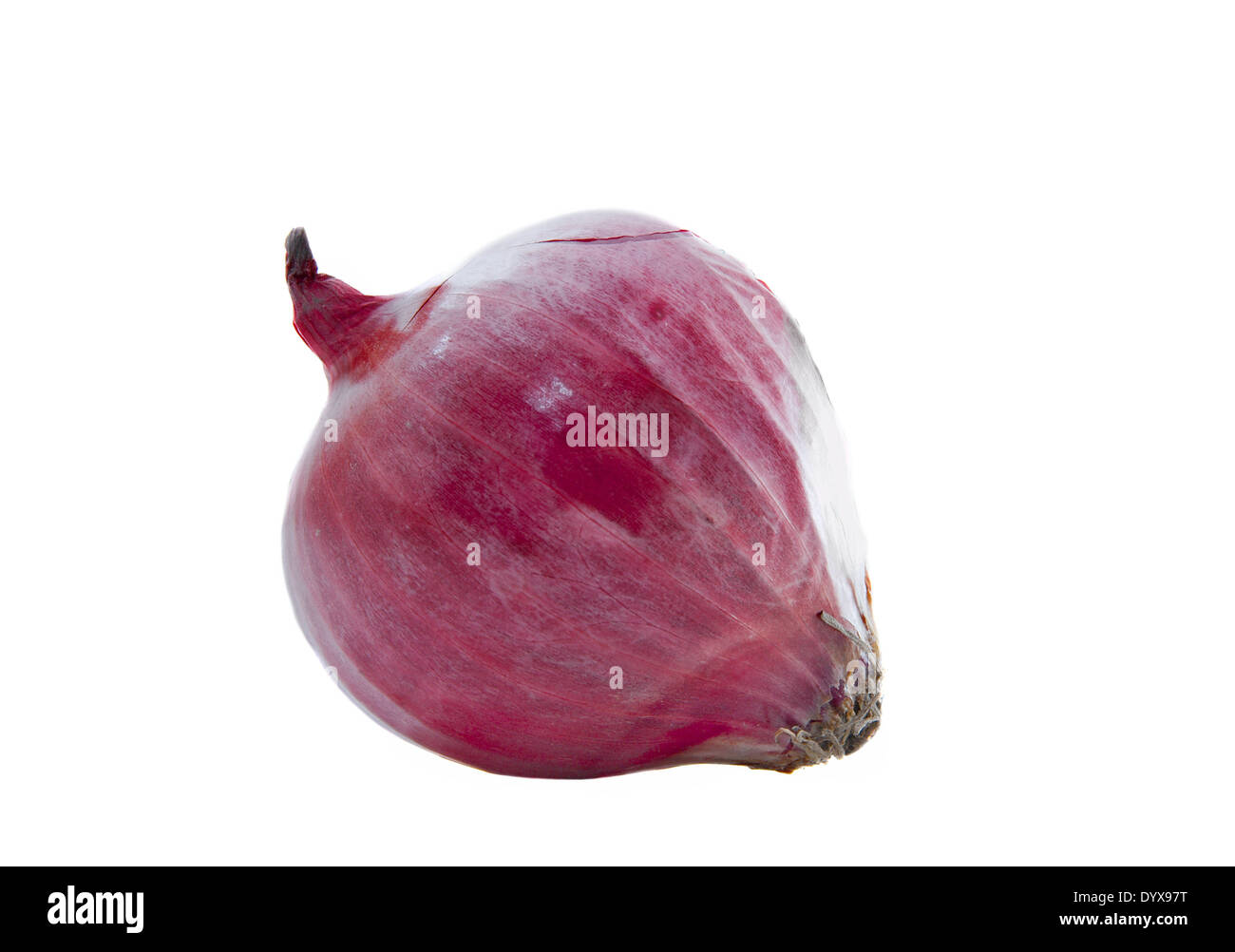Food source onion hi-res stock photography and images - Alamy