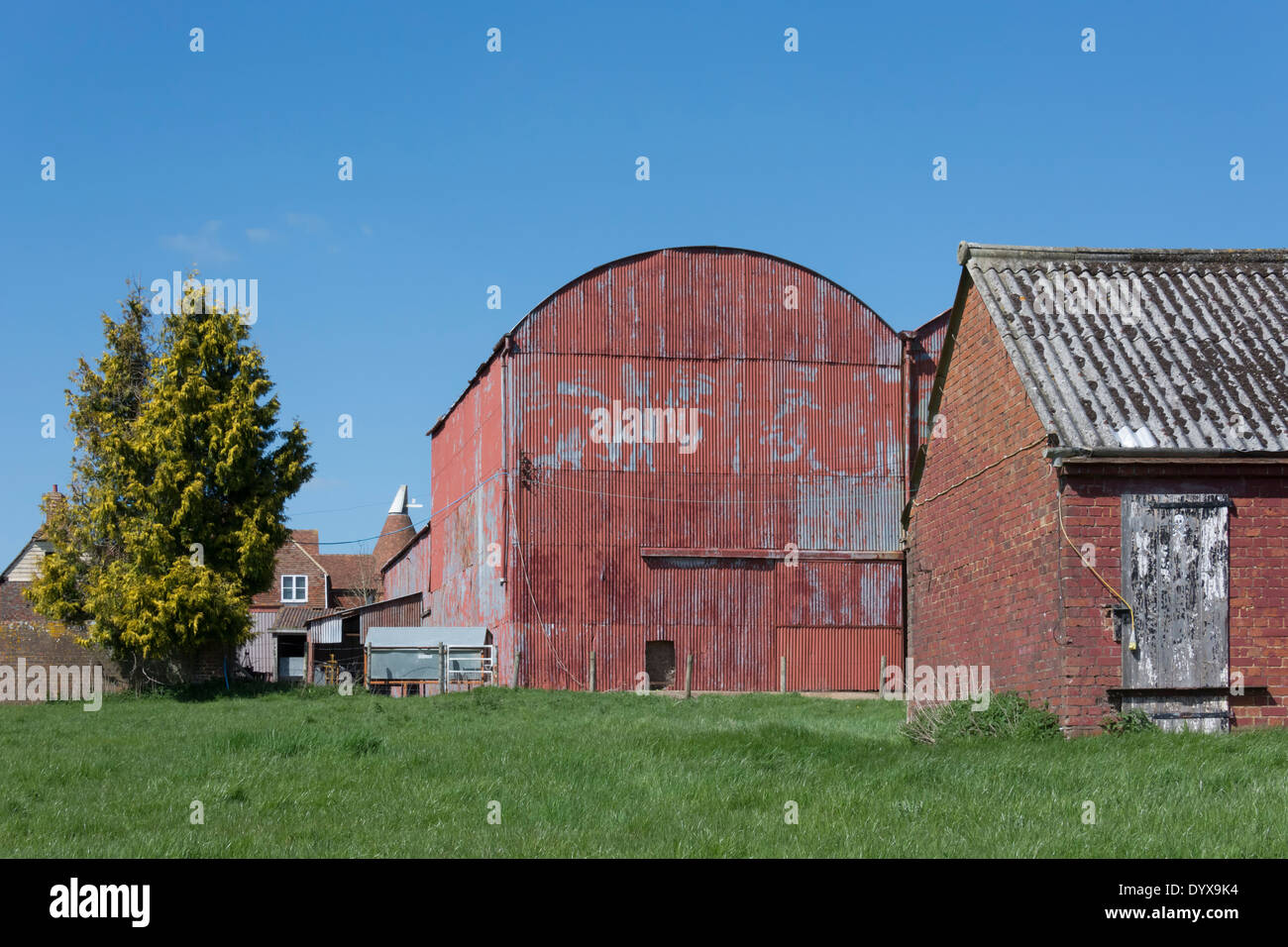 Hop picking kent england hop hi-res stock photography and images - Alamy