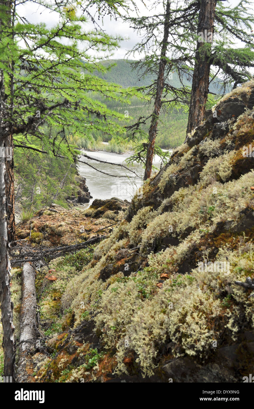 Canyon of the mountain river in Yakutia. Ridge Suntar-khayata, river ...