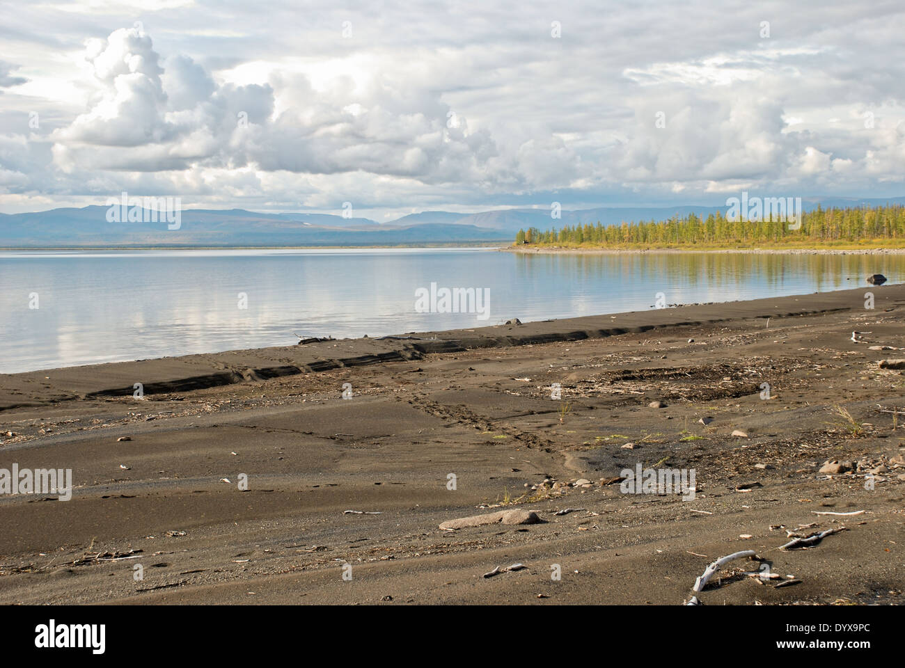 The sandy beaches of lake Lama. 200 kilometers to the East from Norilsk ...