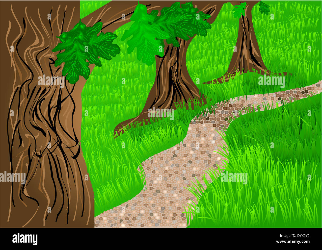 path and trees Stock Photo - Alamy