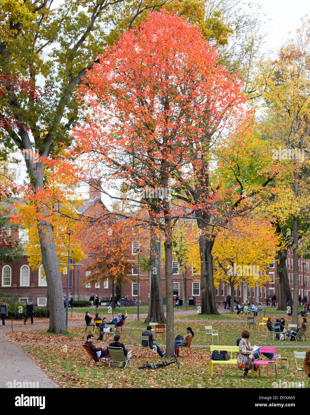 Harvard Yard, old heart of Harvard University campus, on a beautiful ...