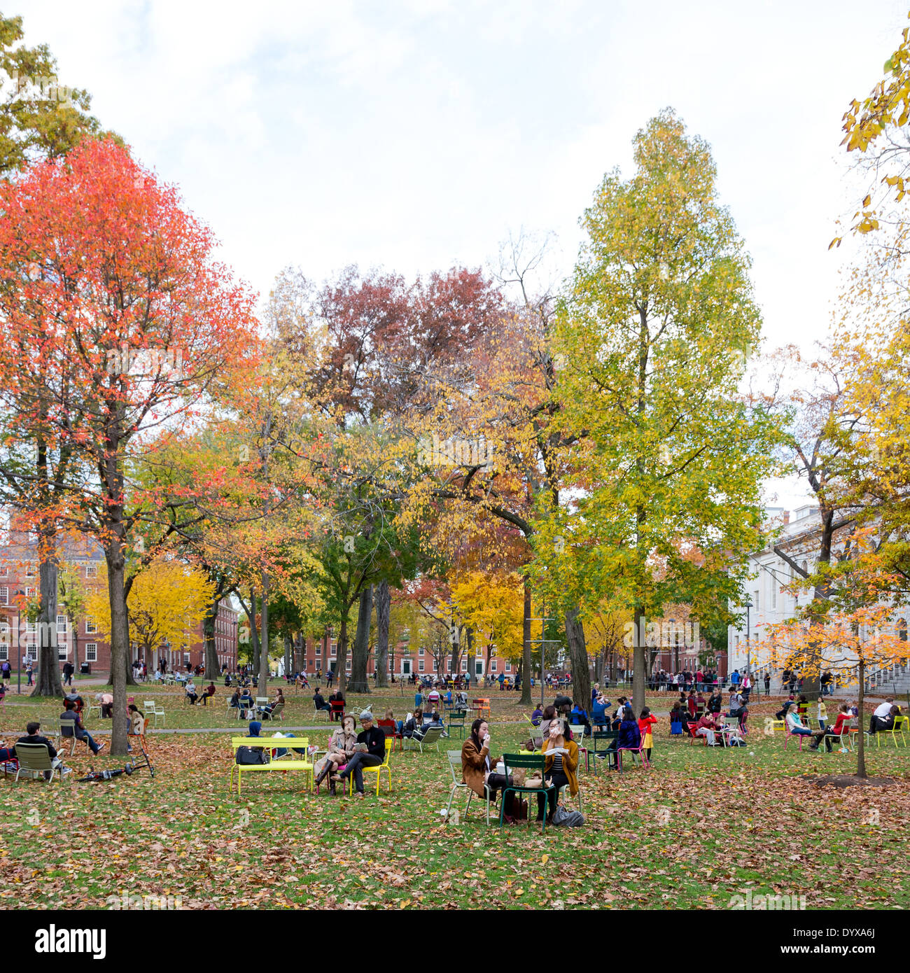 Harvard Yard, old heart of Harvard University campus, on a beautiful ...