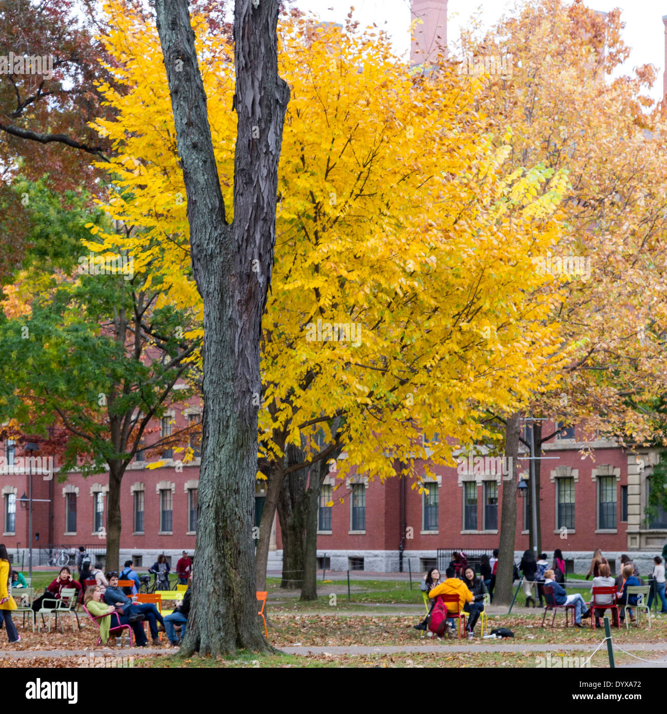 Harvard Yard, old heart of Harvard University campus, on a beautiful ...