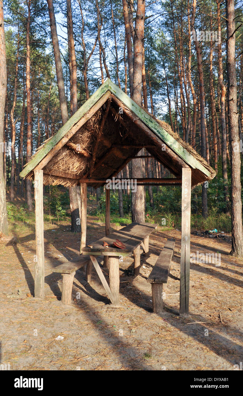 Wooden gazebo in the forest. Photo timber roof in a pine forest on a ...