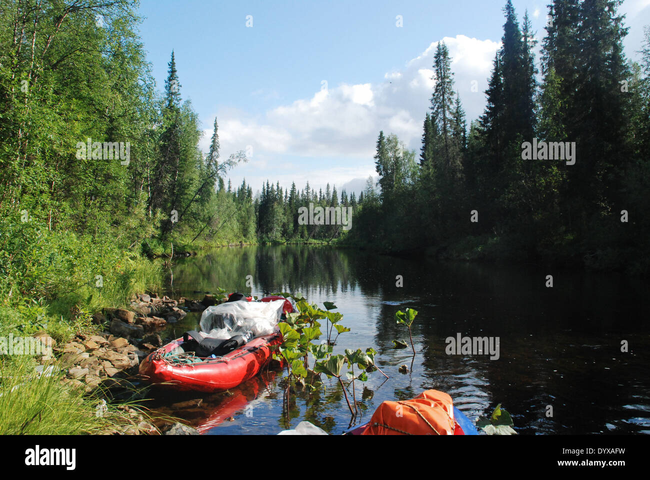Russia, Komi Republic, summer, taiga. Canoe on the river in the virgin ...