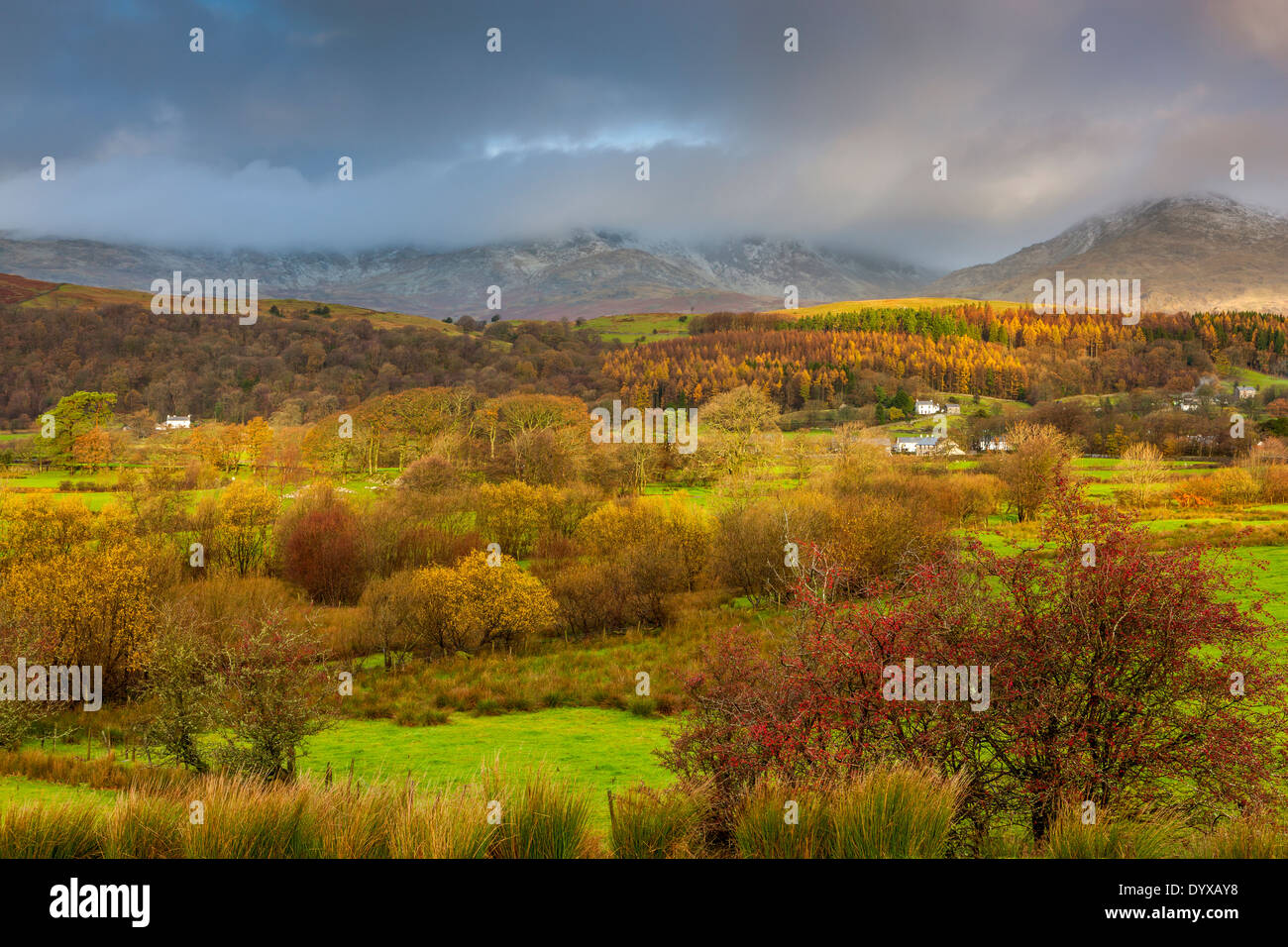 Torver lake district hi-res stock photography and images - Alamy