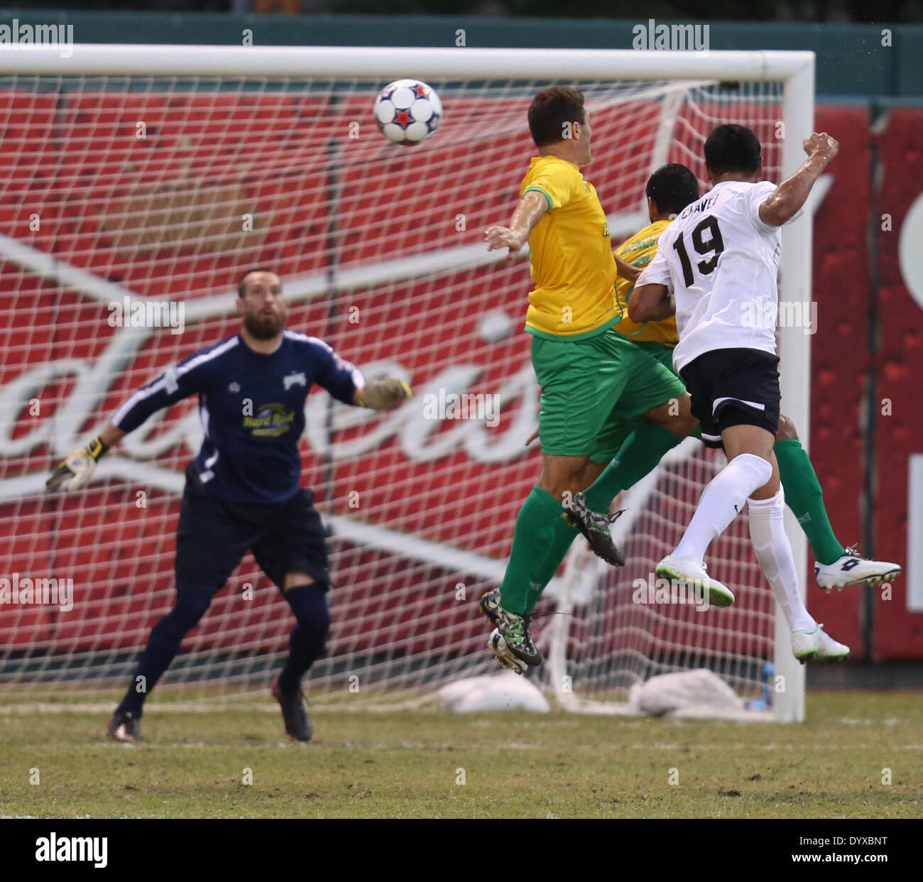 Bradenton, Florida, USA. 26th Apr, 2014. The Silverbacks score their ...