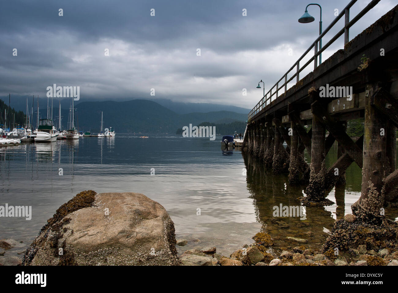 low tide view under barnacle covered wooden pier across calm inlet to ...