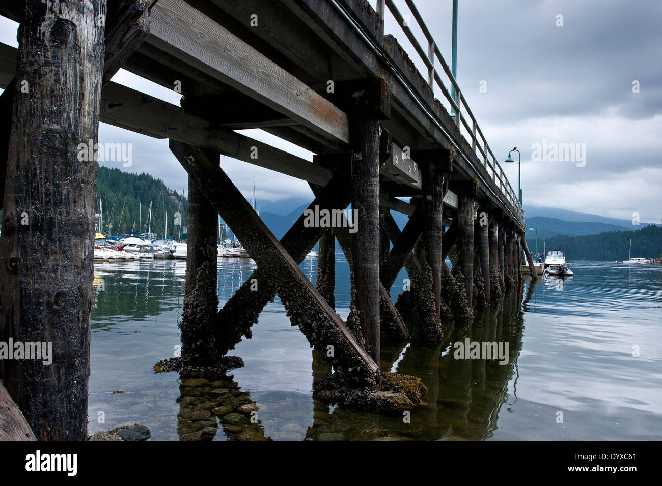 ow tide view under barnacle covered wooden pier across calm inlet to ...