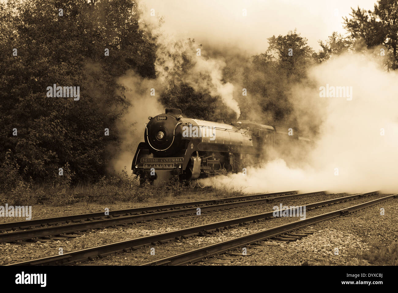 steam train starting to move with large bursts of steam pumping out up ...