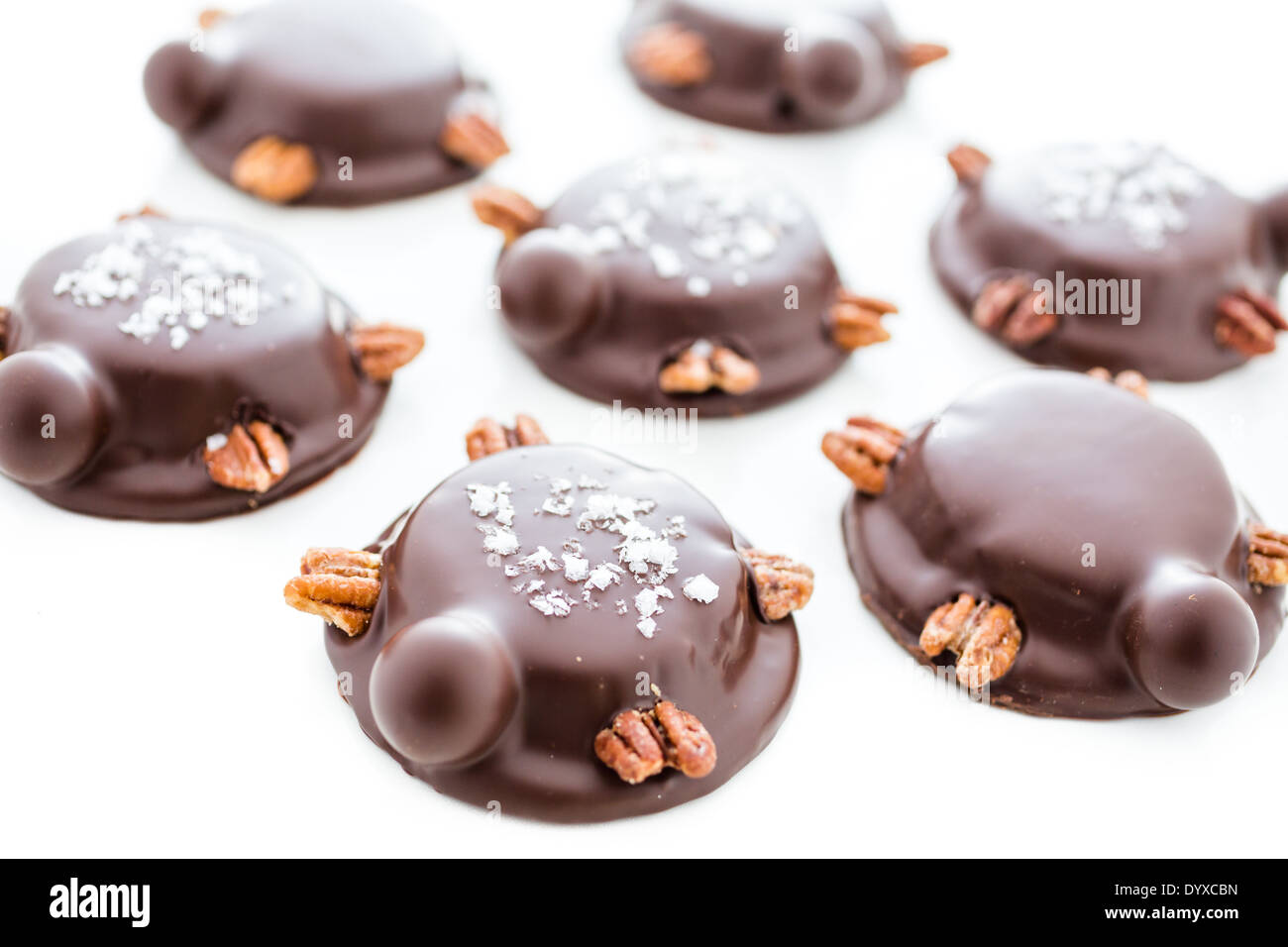 Gourmet Caramel Pecan Turtles made with milk chocolate and whole pecans ...