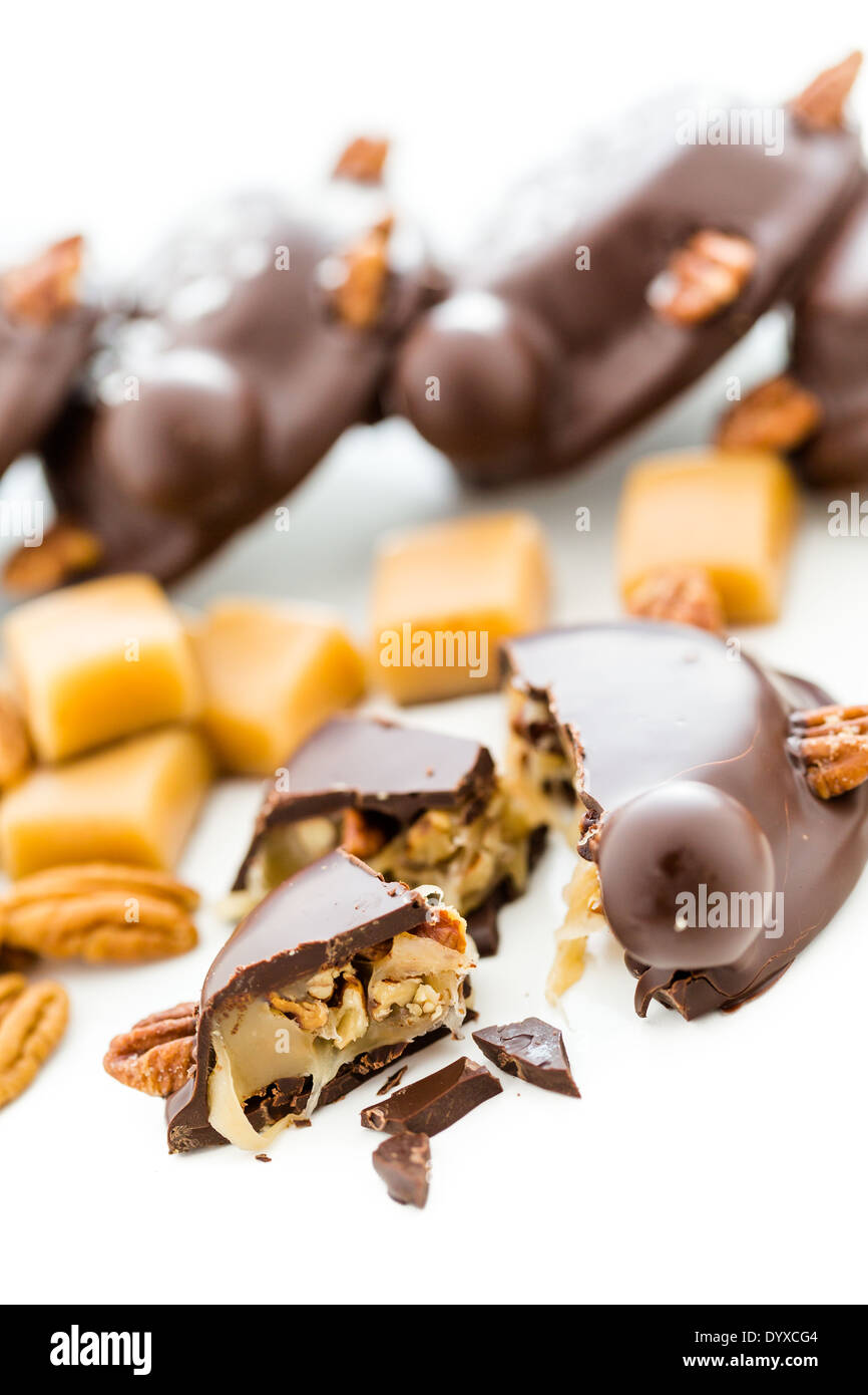Gourmet Caramel Pecan Turtles made with milk chocolate and whole pecans ...