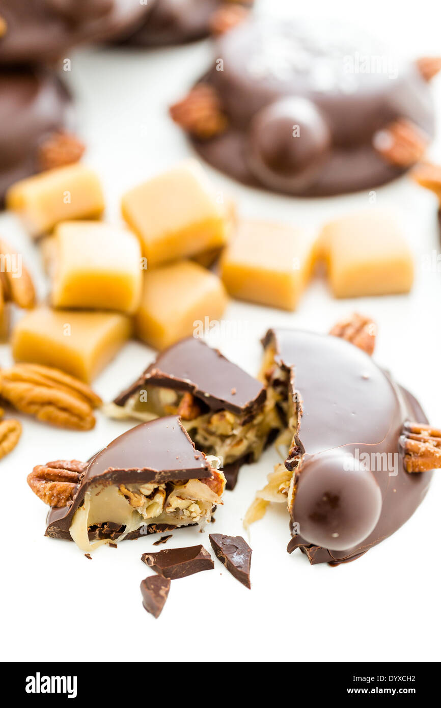 Gourmet Caramel Pecan Turtles made with milk chocolate and whole pecans ...