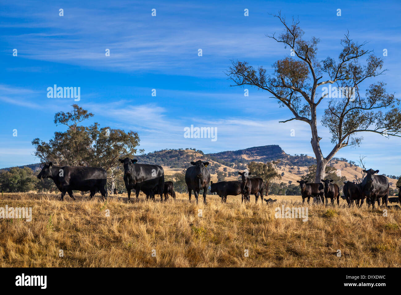 Nth north hi-res stock photography and images - Alamy