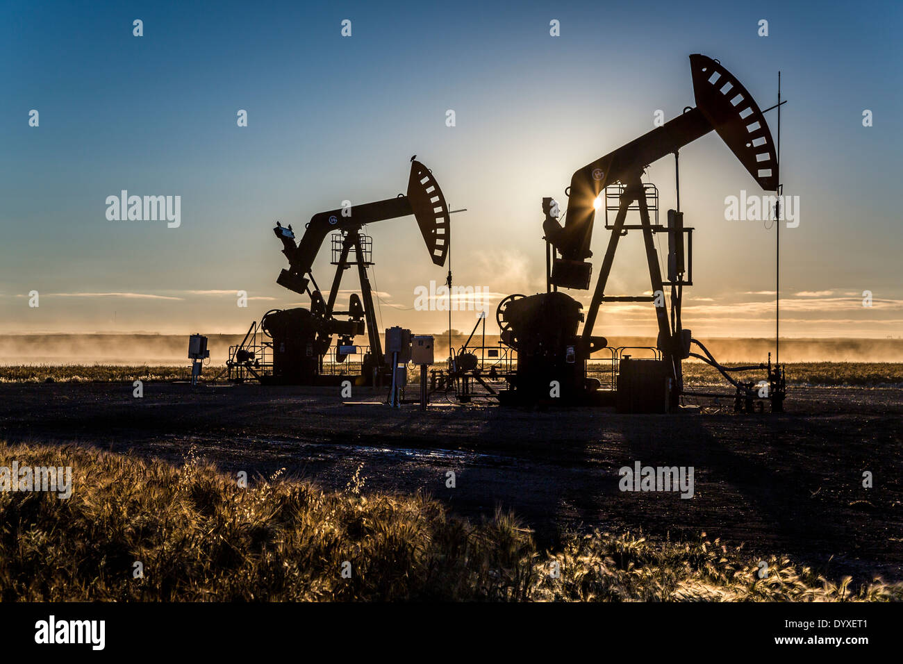 Bakken oil field pumpers at sunrise near Stoughton, Saskatchewan ...