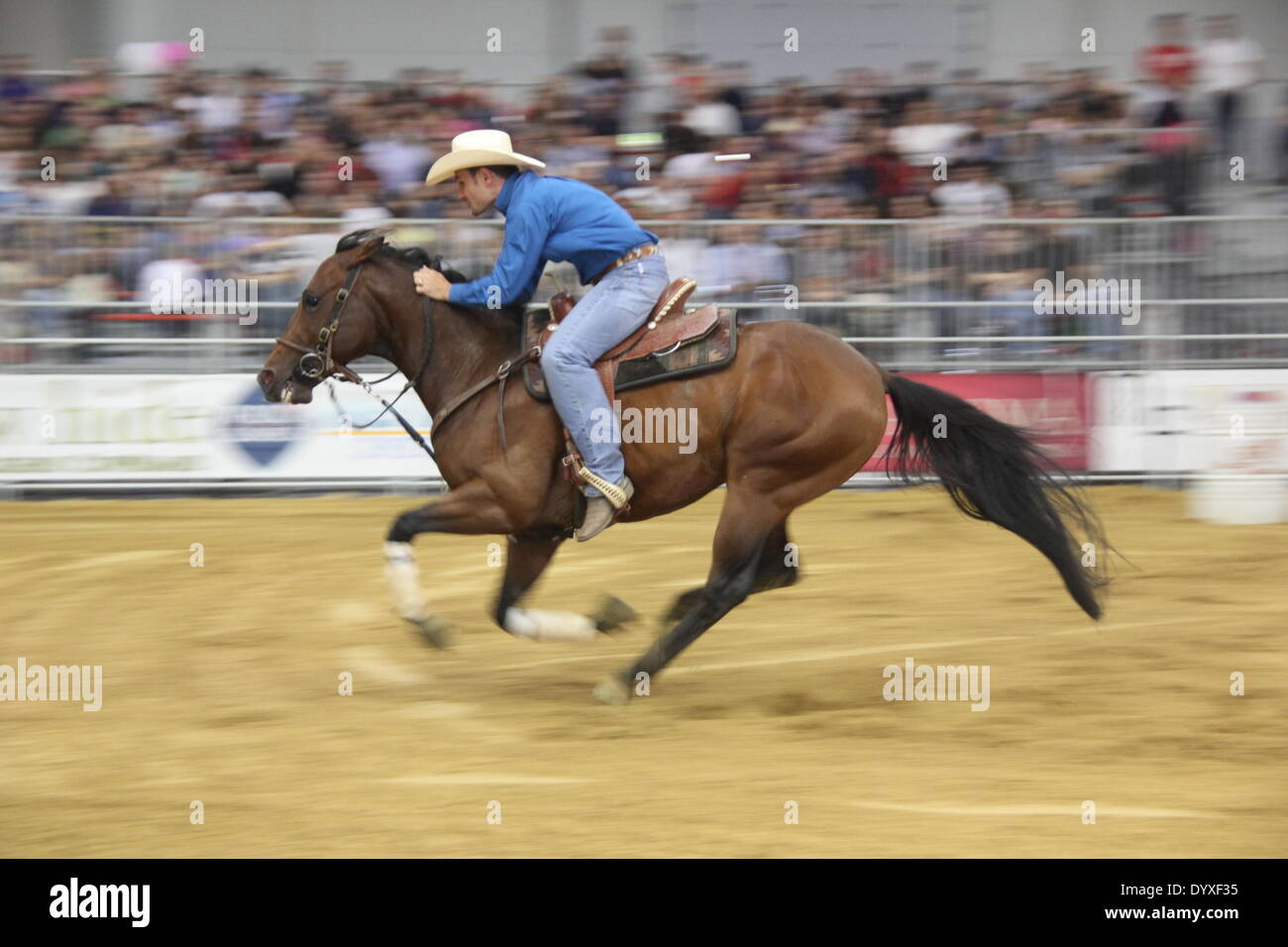 Rome, Italy. 25th April 2014. Cavalli a Roma equestrian event at the ...