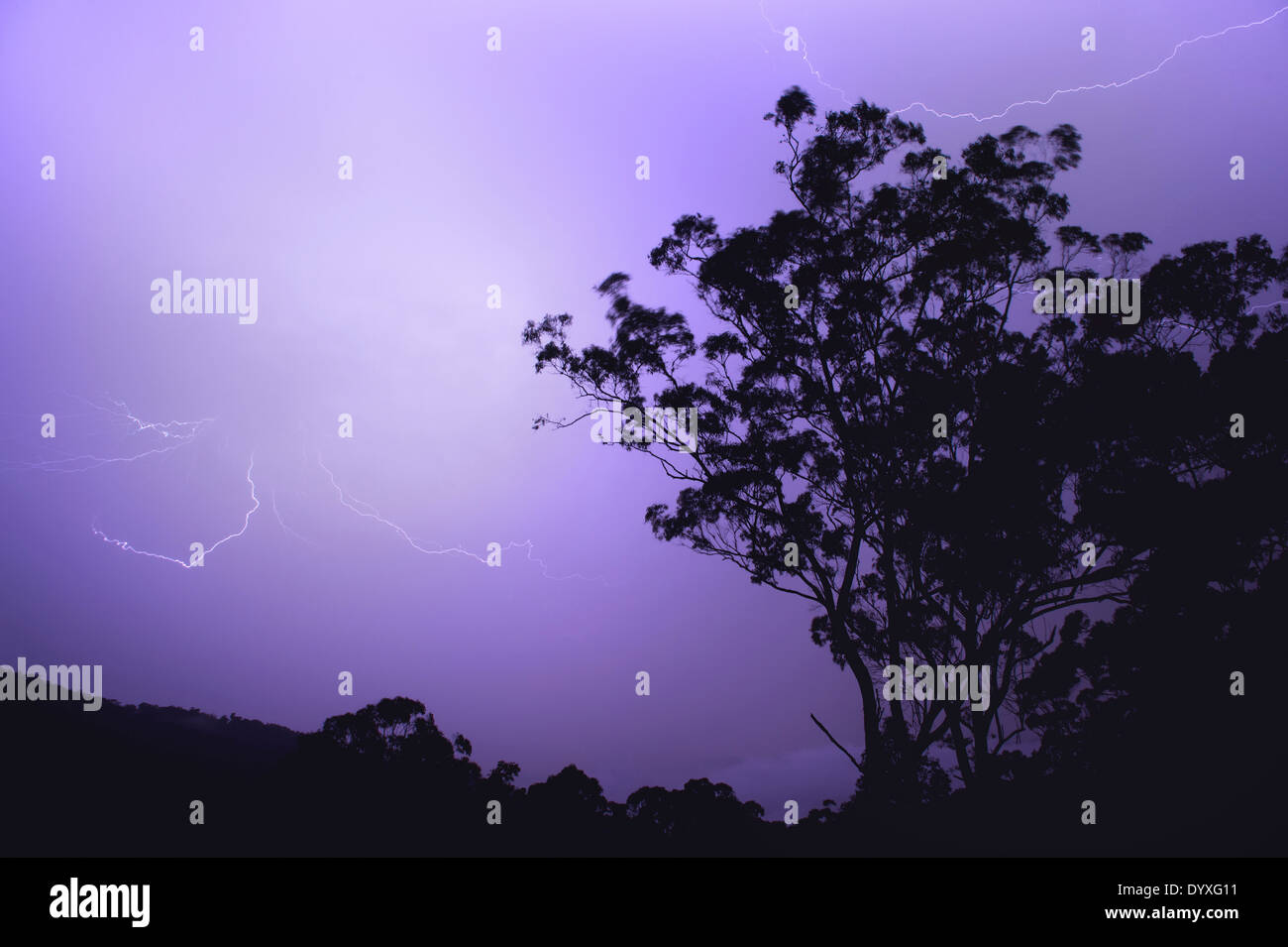 Lightning australia hi-res stock photography and images - Alamy
