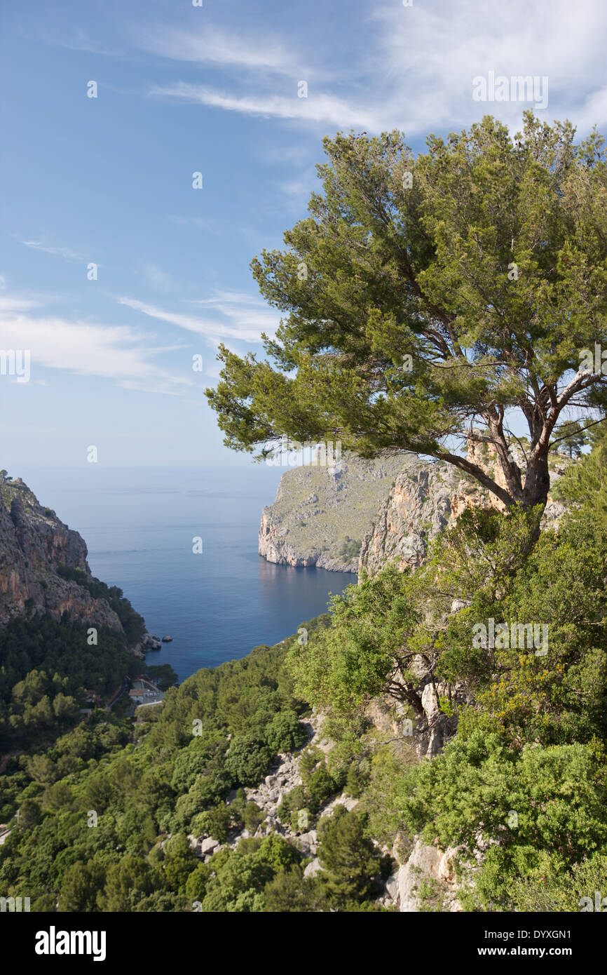 Europe Mediterranean Mallorca west sea coast Cap de Formentor height ...