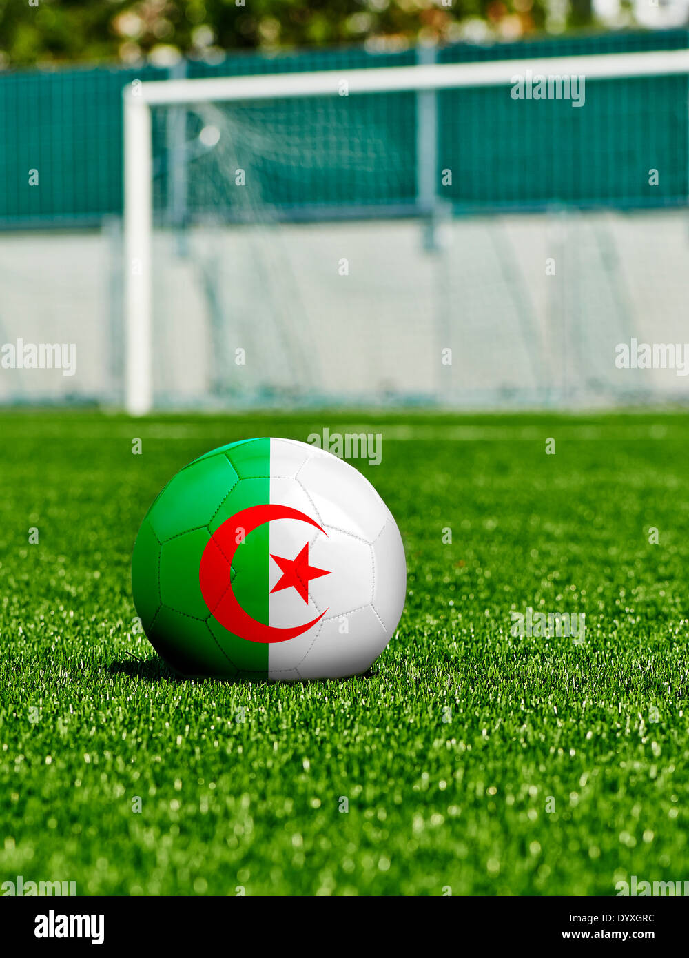 Soccer Ball with Algeria Flag on the grass in stadium Stock Photo - Alamy