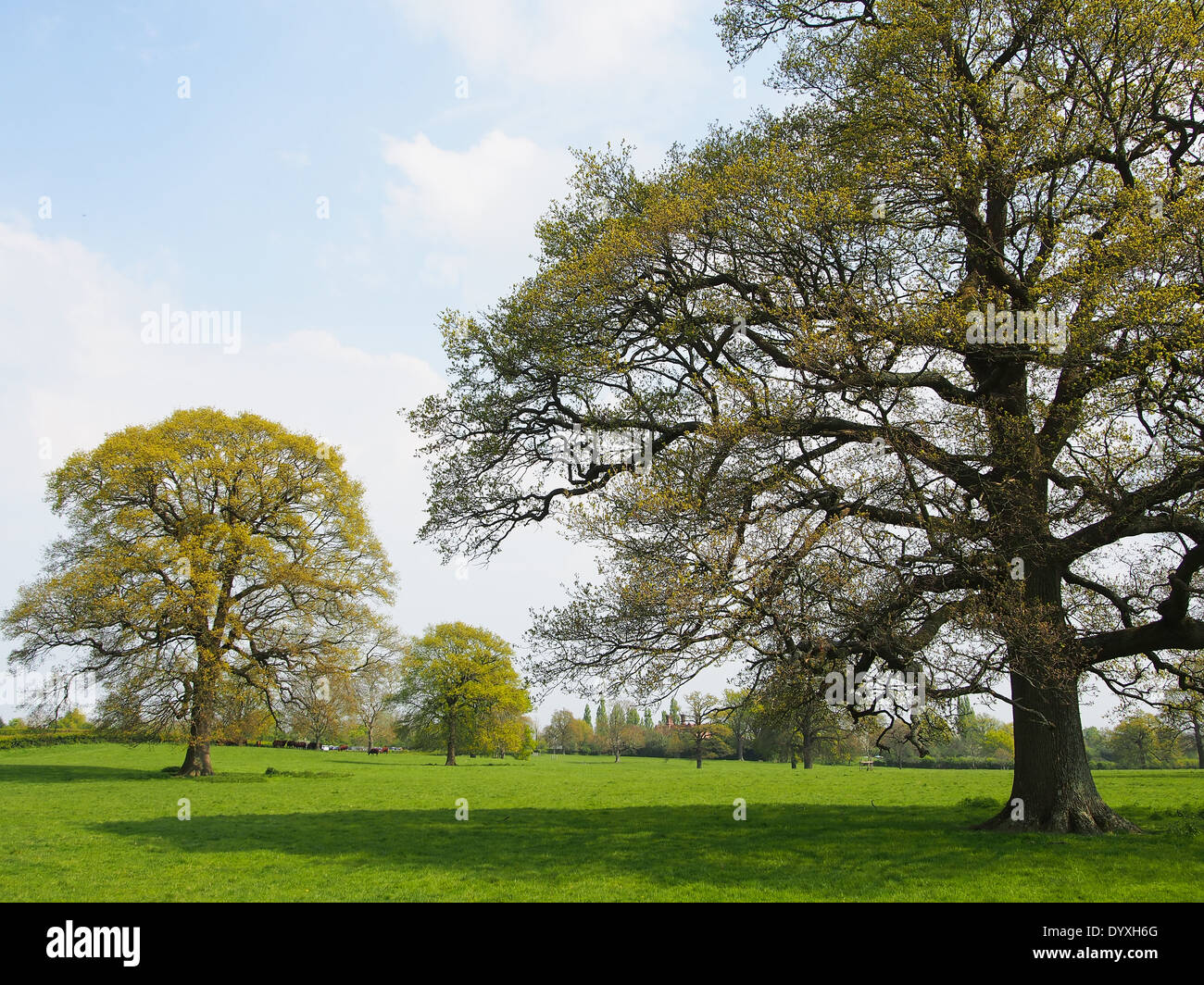 Kent countryside fields hi-res stock photography and images - Alamy