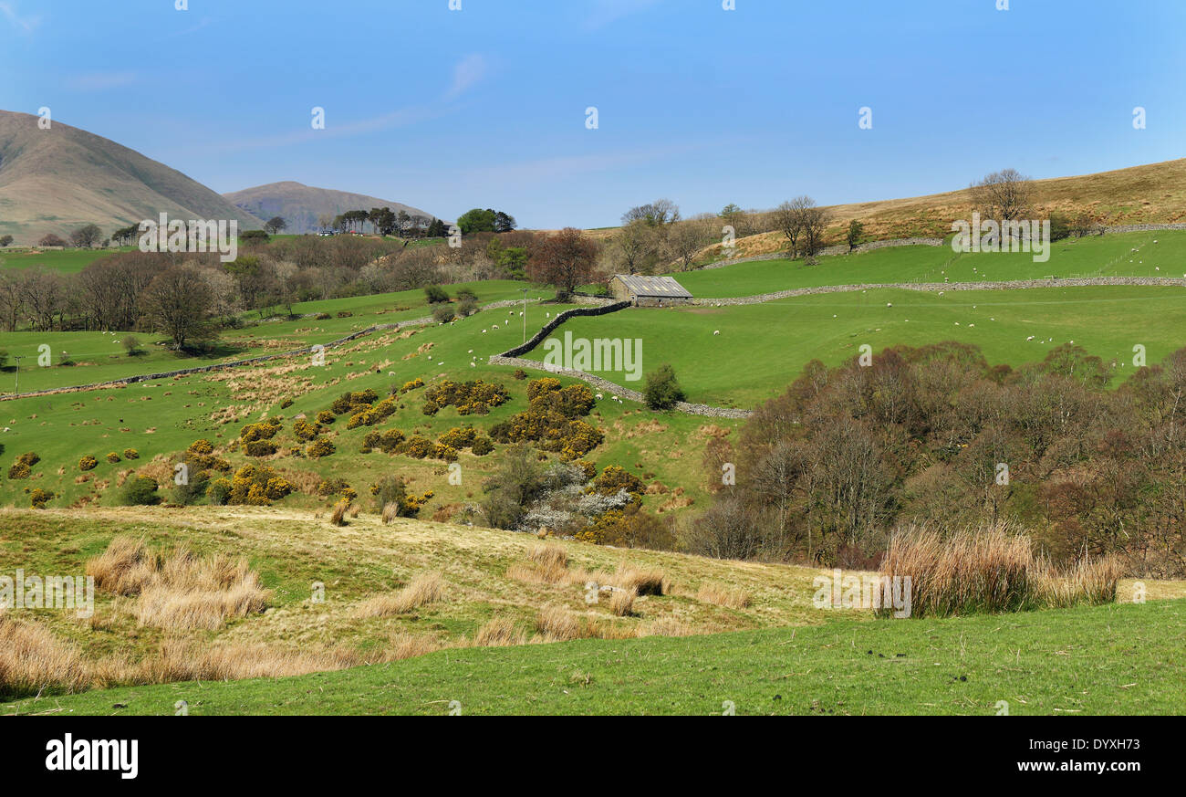 Rural Landscape in Cumbria, North West England with Farm on hillside ...
