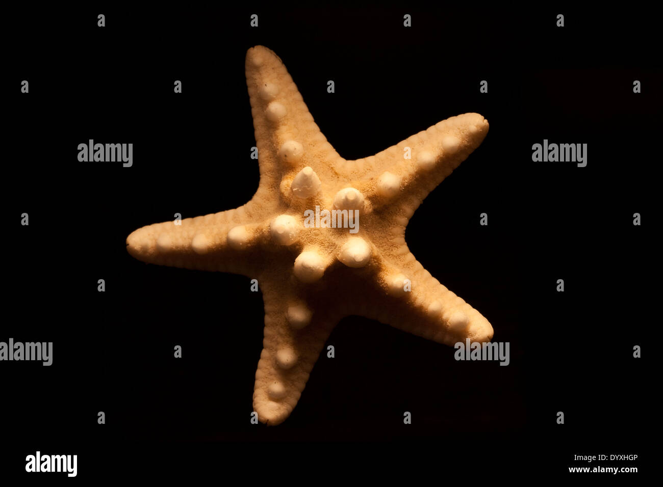 Surreal lighting hi-res stock photography and images - Alamy