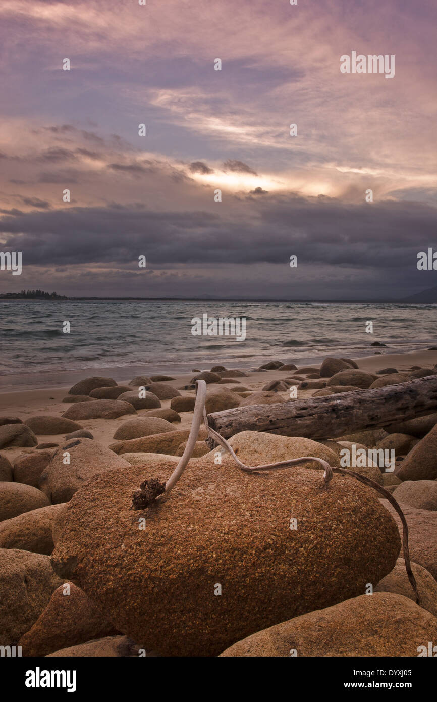 low wide view across round smooth ocean worn rocks with driftwood ...
