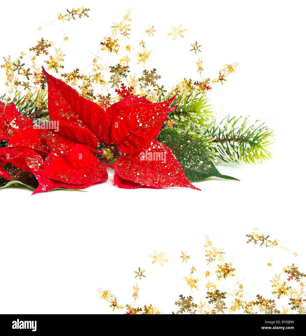 Merry gold flower hi-res stock photography and images - Alamy