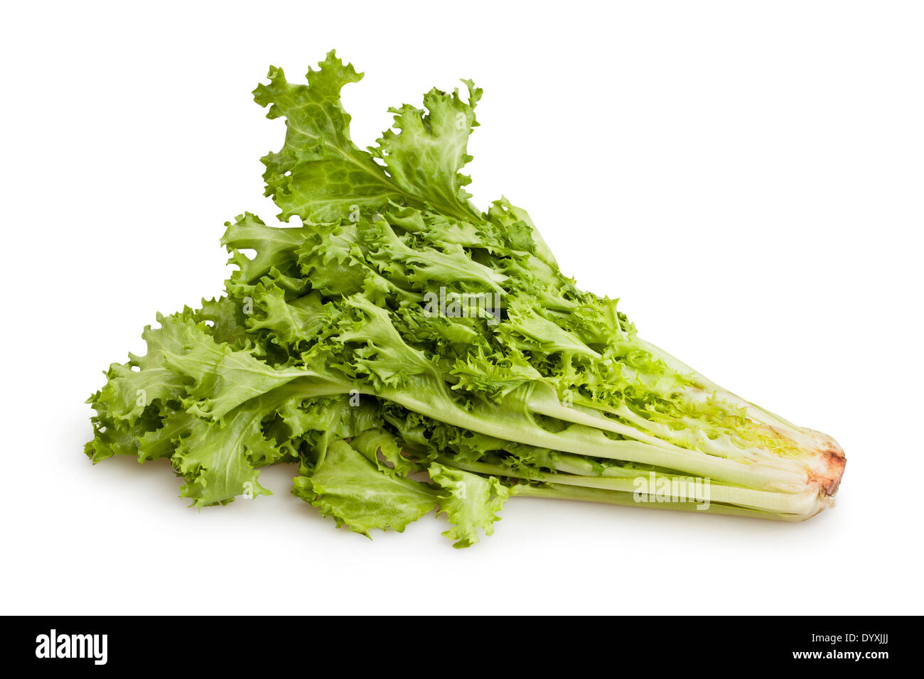 Frisee lettuce hi-res stock photography and images - Alamy
