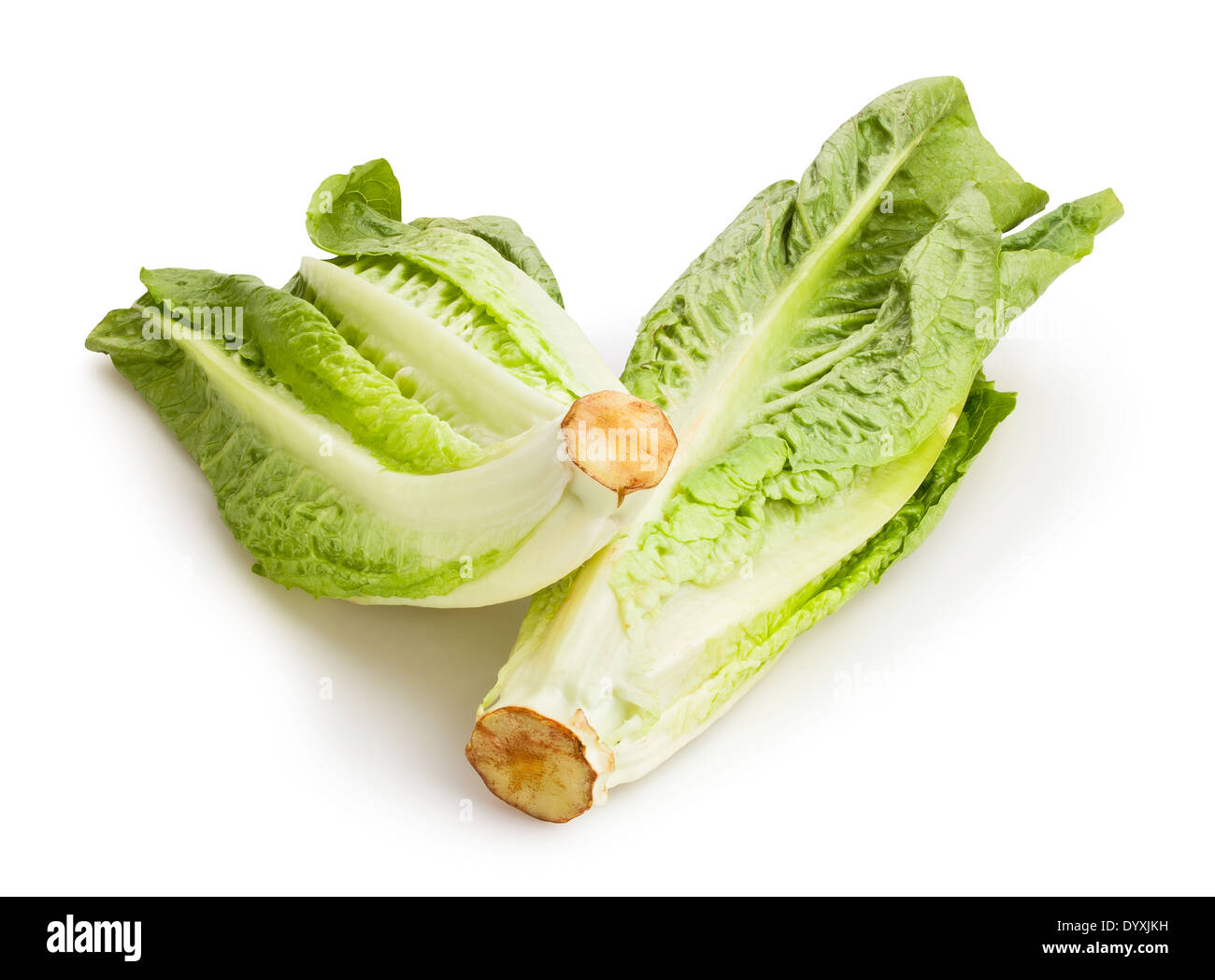 Romaine lettuce hi-res stock photography and images - Alamy
