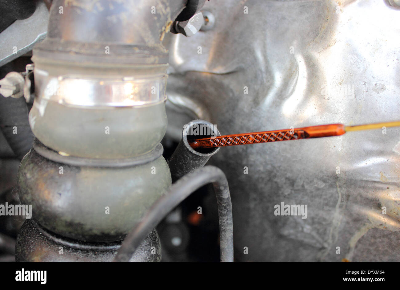 Dipstick test hi-res stock photography and images - Alamy