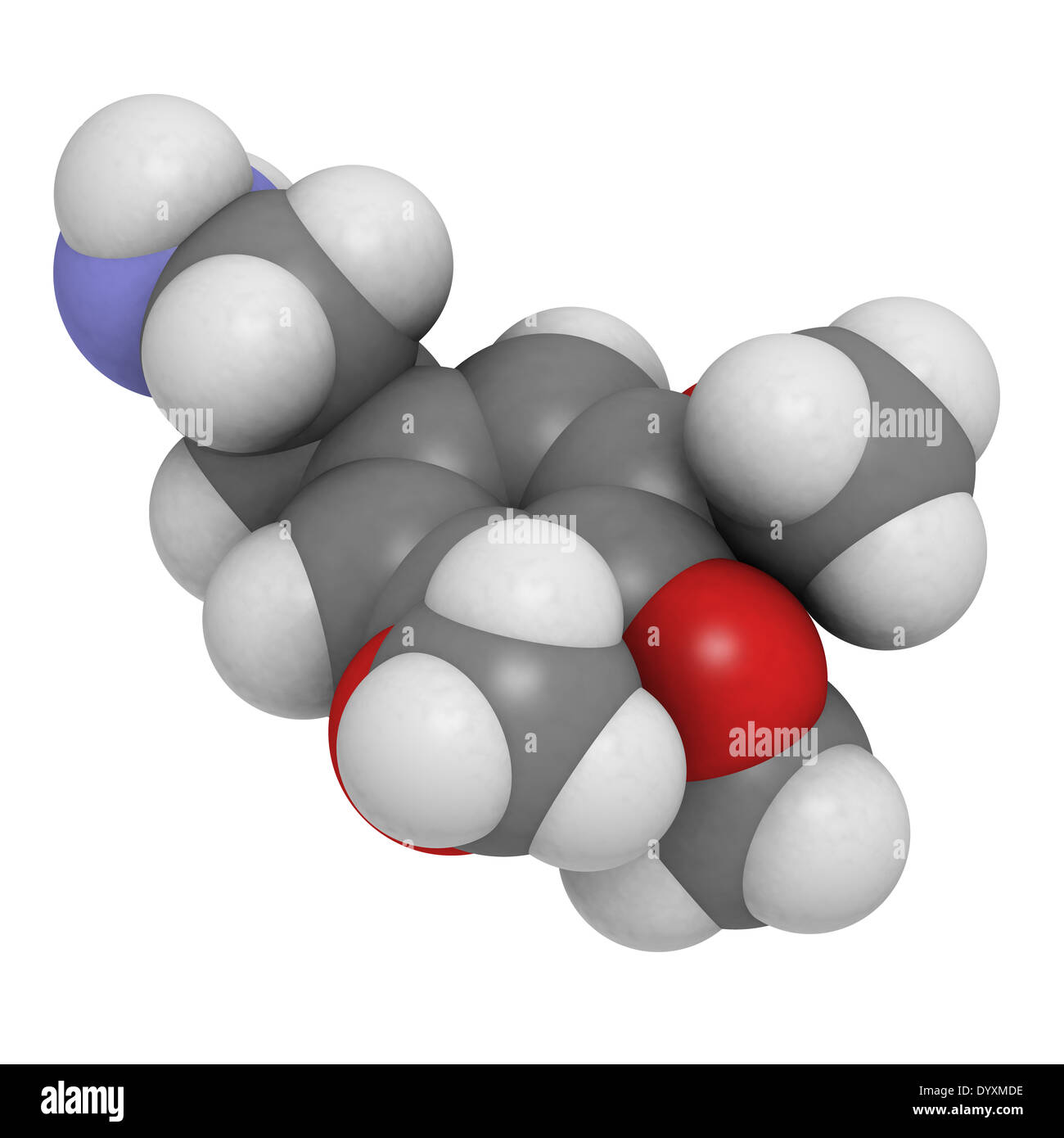 Mescalin hi-res stock photography and images - Alamy