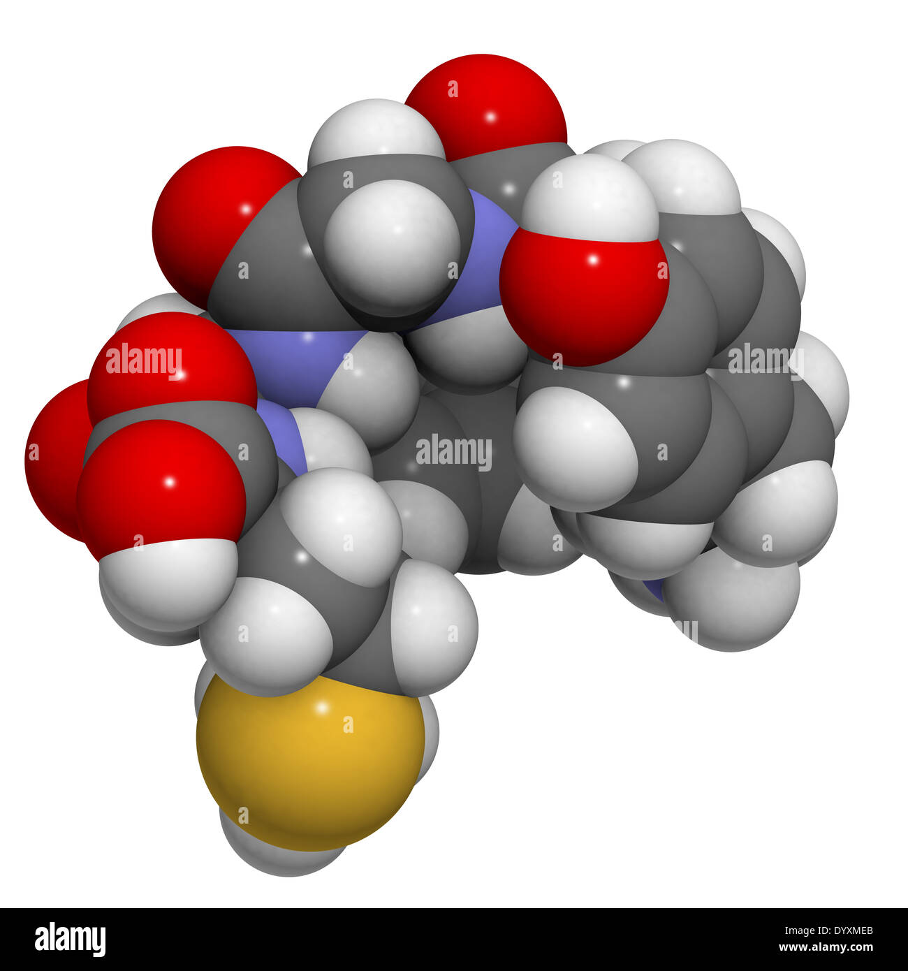 Methionine enkephalin hi-res stock photography and images - Alamy