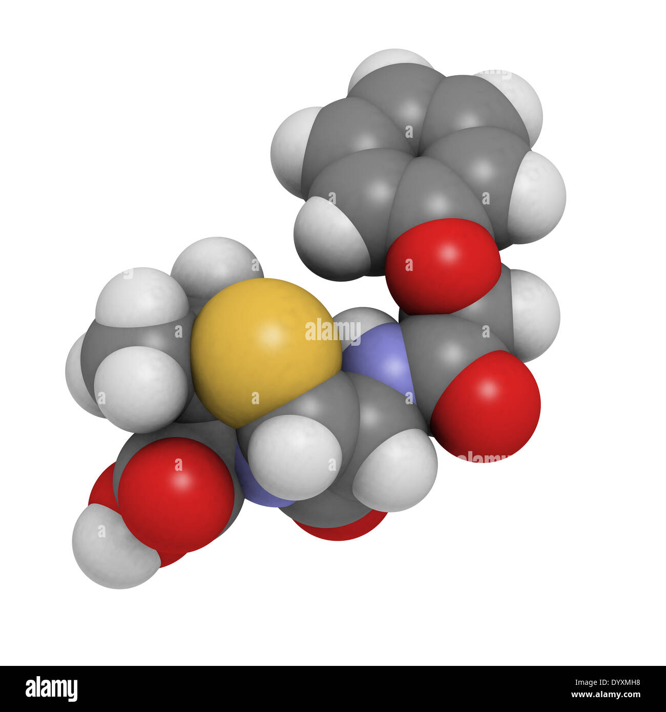 Penicillin v molecular model hi-res stock photography and images - Alamy