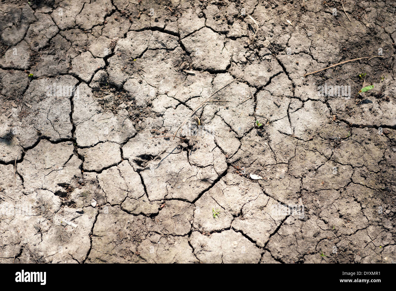 Terrain ground hi-res stock photography and images - Alamy