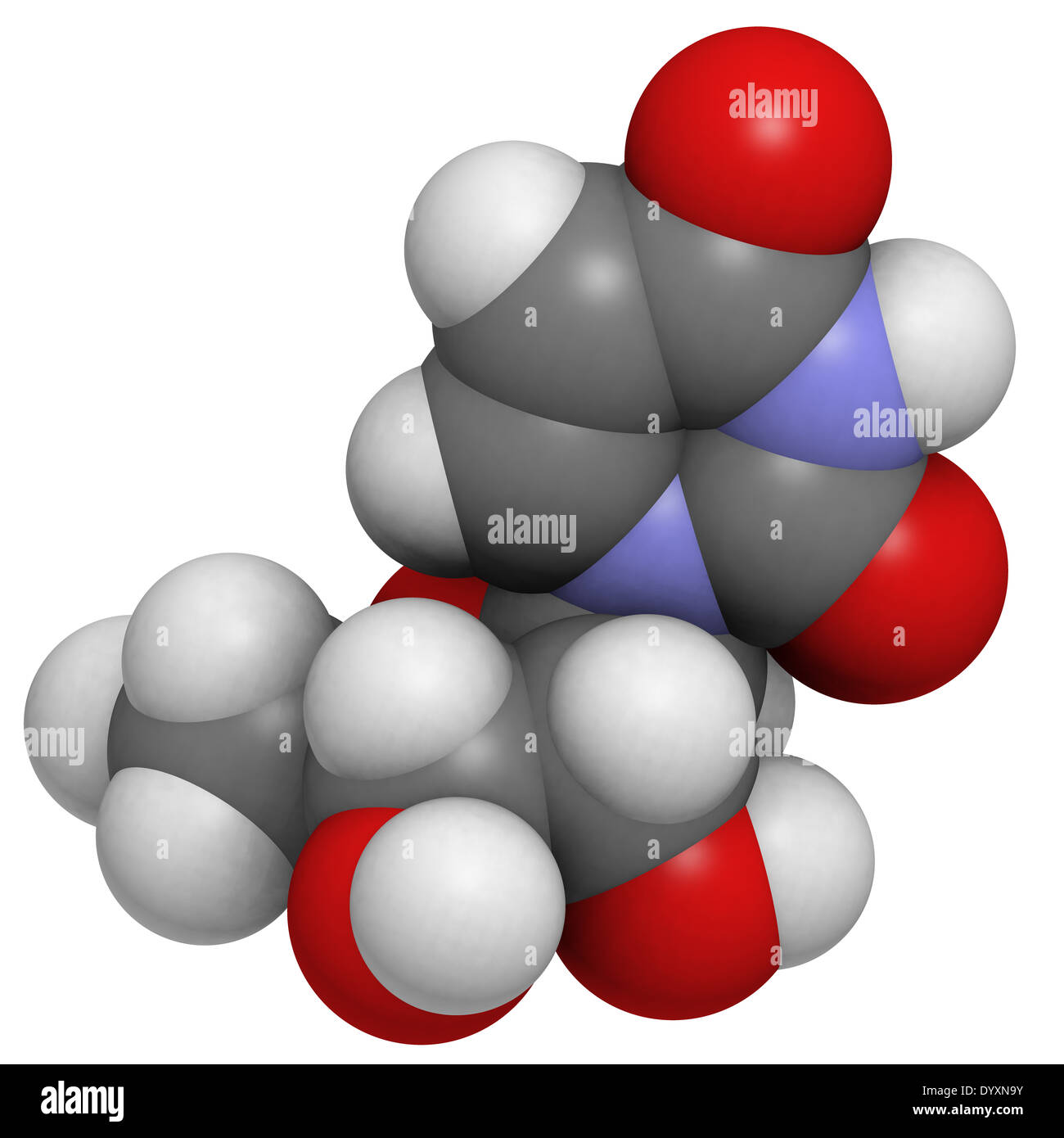 Uridin High Resolution Stock Photography and Images - Alamy