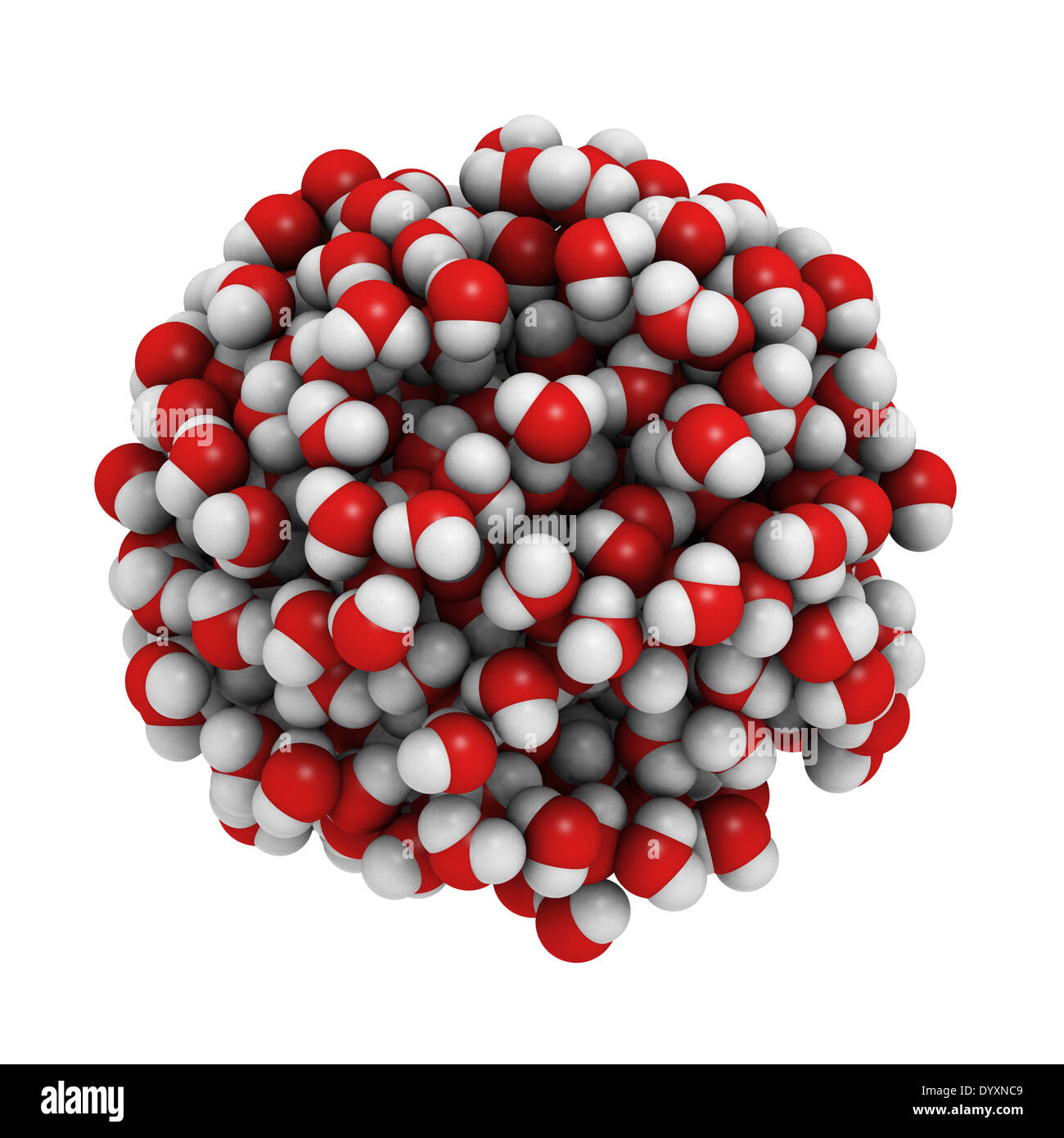 Water. Model of the molecular composition of water in the liquid state ...