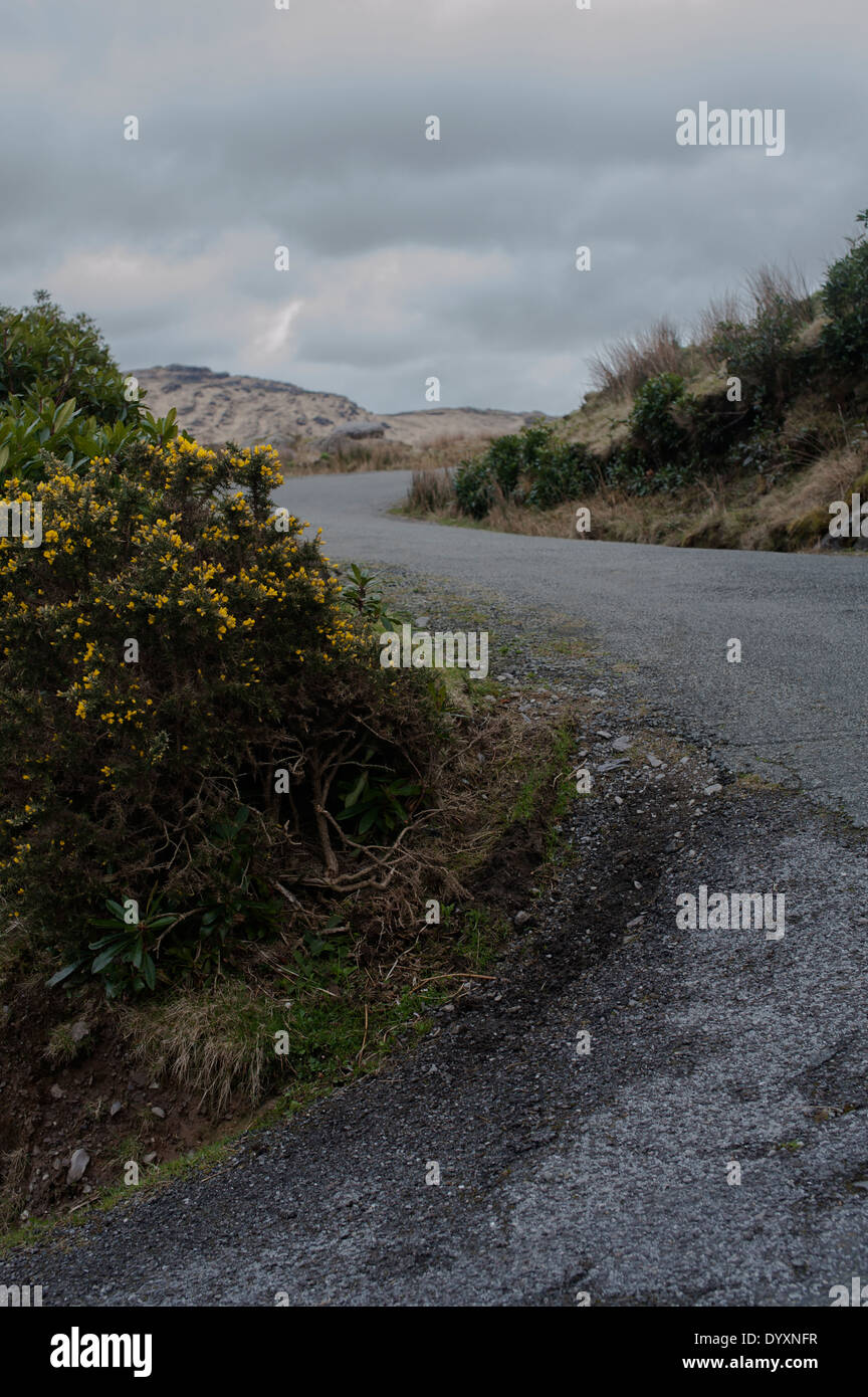 Tarmacked road hi-res stock photography and images - Alamy