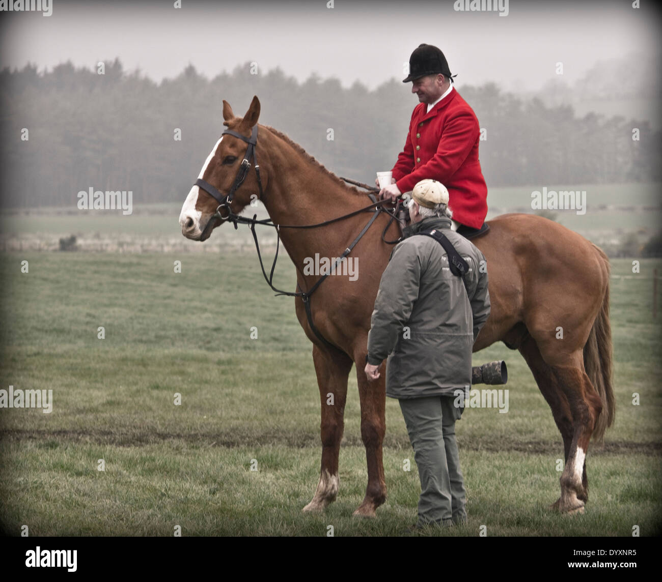 Rider and horses hi-res stock photography and images - Alamy