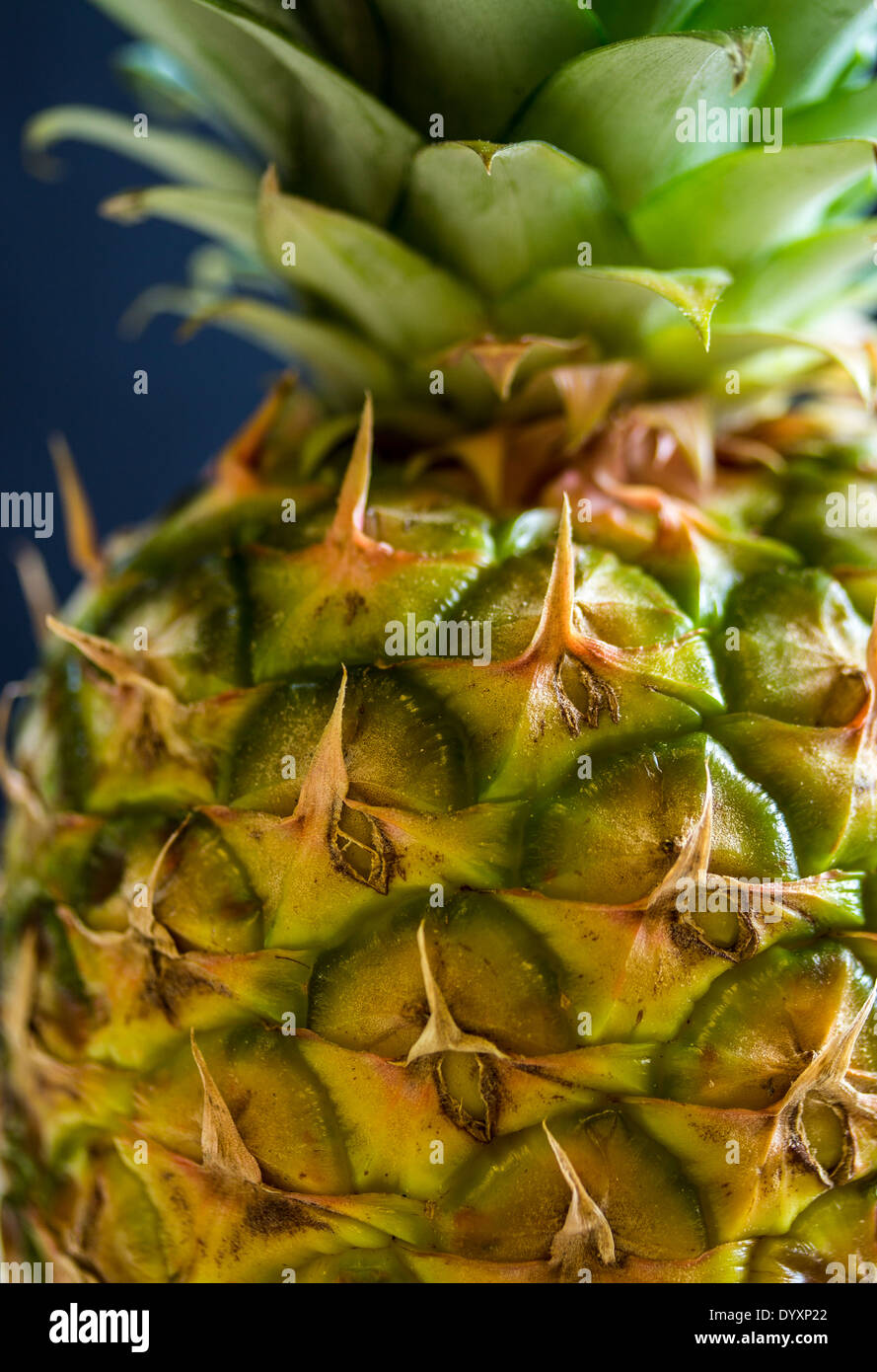 Close up part of a Pineapple showing the green and yellow waxy segments ...