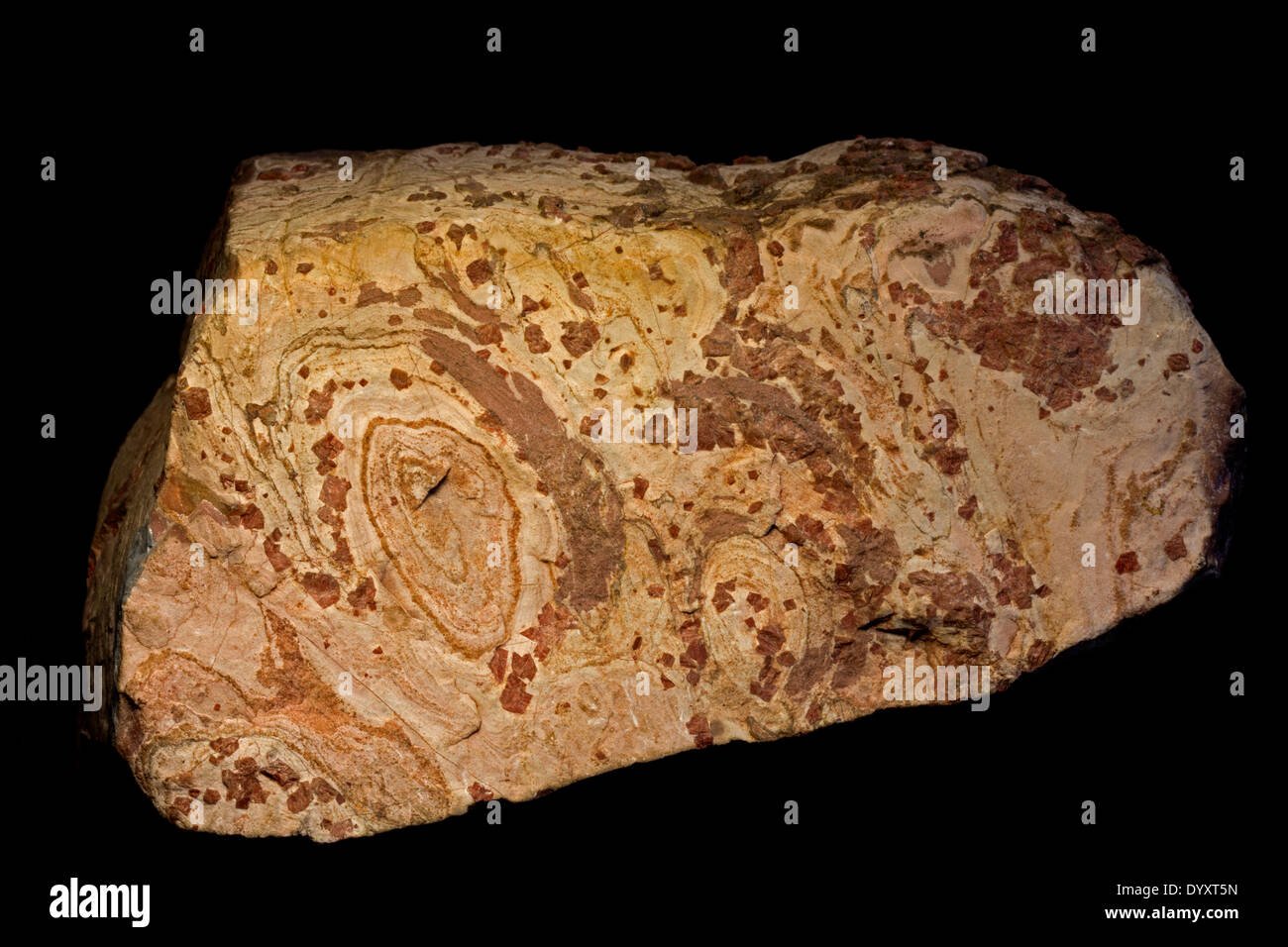 Core sample scale hi-res stock photography and images - Alamy