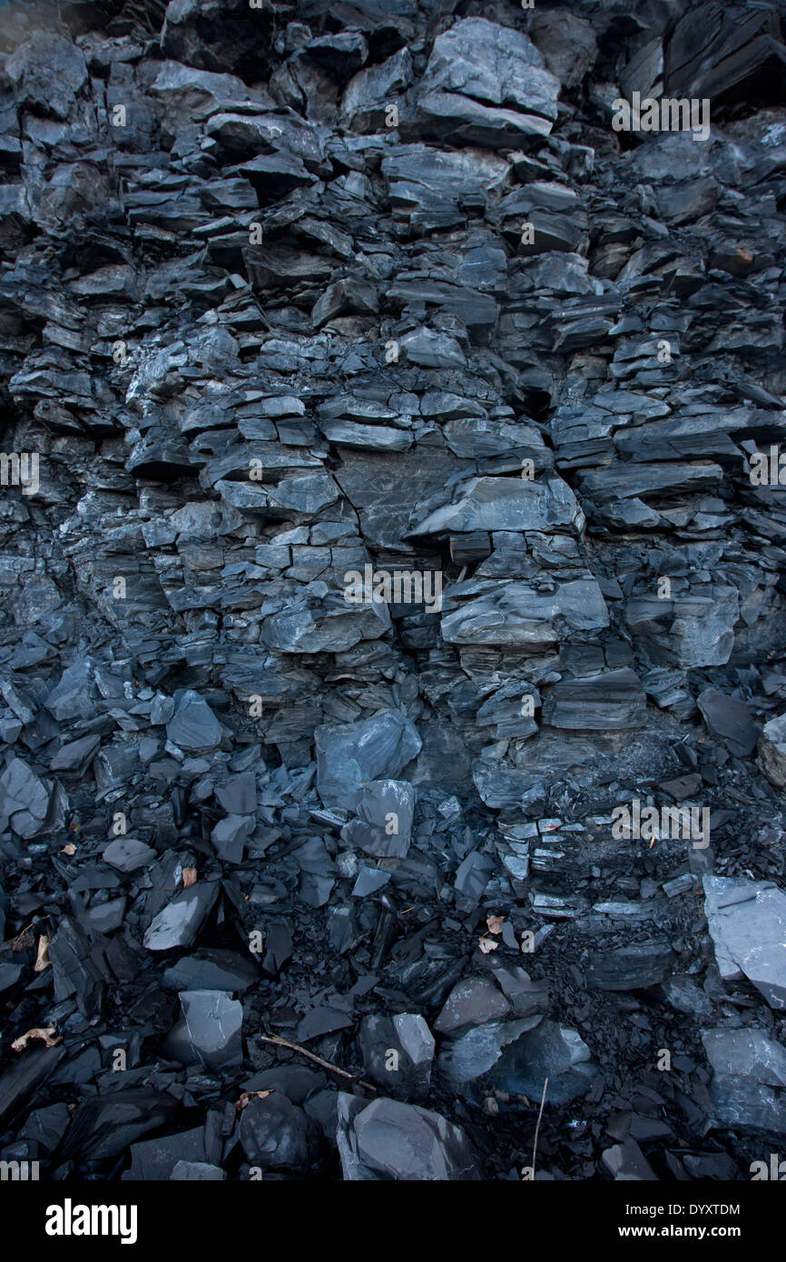 Marcellus formation hi-res stock photography and images - Alamy