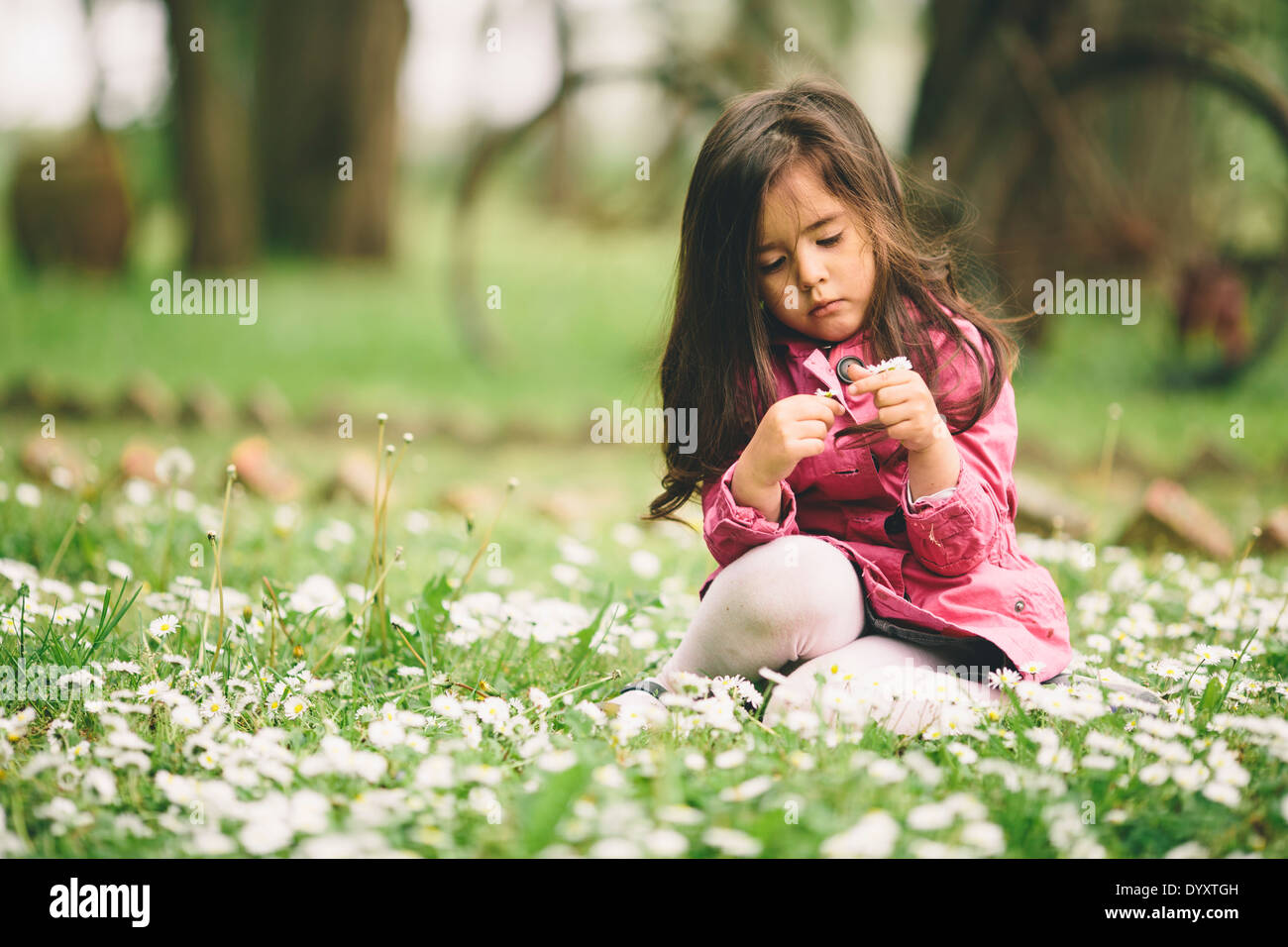 Little girl in the spring field Stock Photo - Alamy